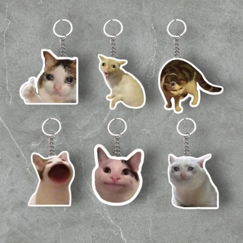 Jual KEYCHAIN MEME CAT | GANTUNGAN KUNCI KUCING LUCU | GANCI ACRYLIC ...