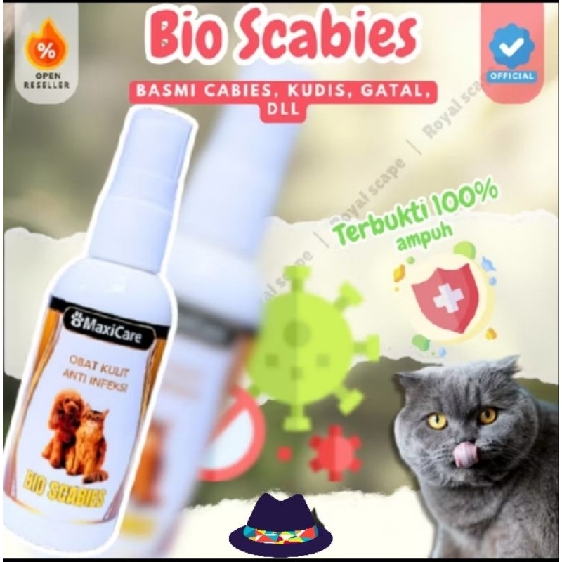 Jual Bio Scabies penghilang Jamur Scabies Kutu infeksi 60ml | Shopee ...