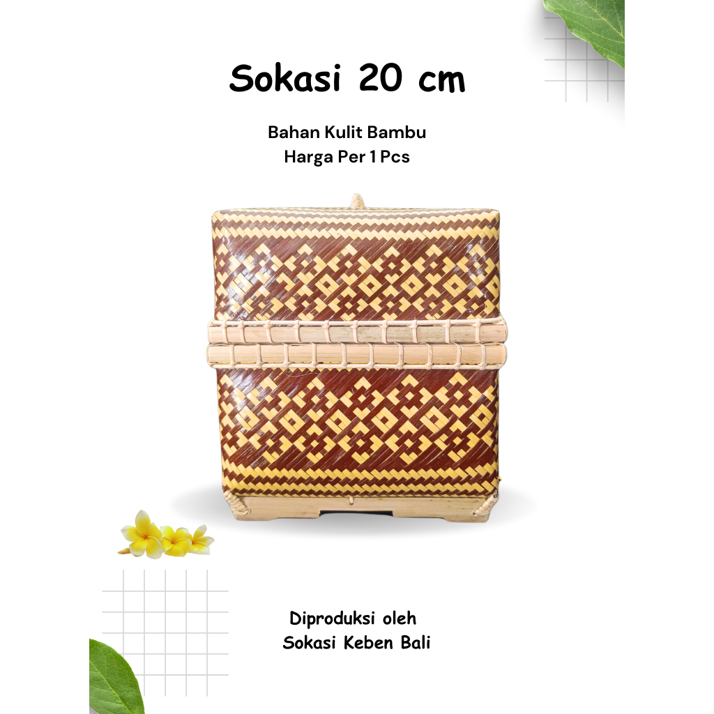 Jual Sokasi Keben sibeh 20-25 cm | Shopee Indonesia