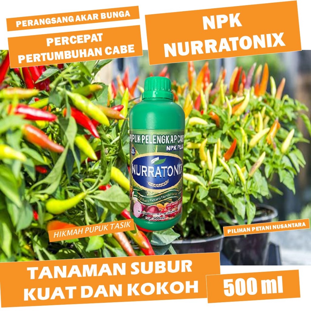Jual NPK NURRATONIX 500 ml Pupuk Pelebat Buah Cabe Rawit - Pupuk Super Pelebat Buah Cabe Rawit ...