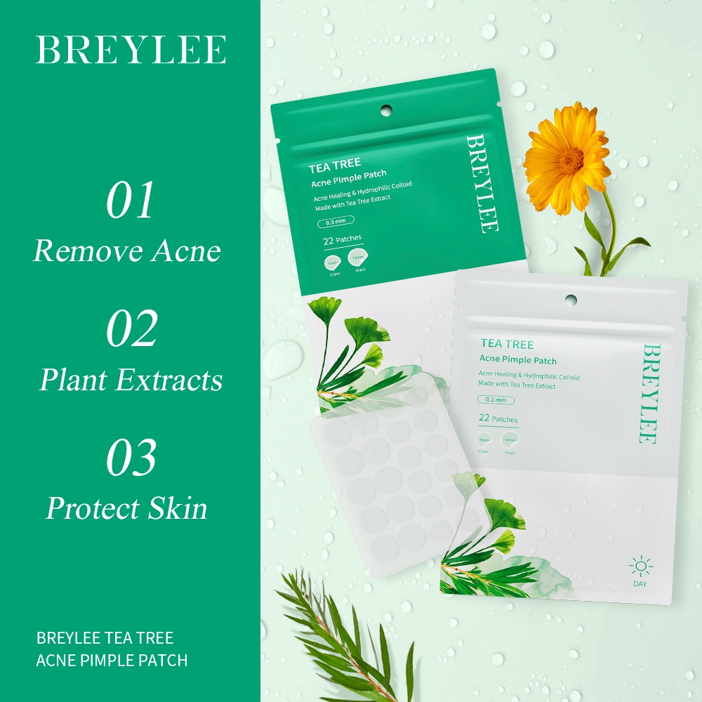 Jual BREYLEE 5PCS ACNE PIMPLE PATCH Day | Night | Shopee Indonesia