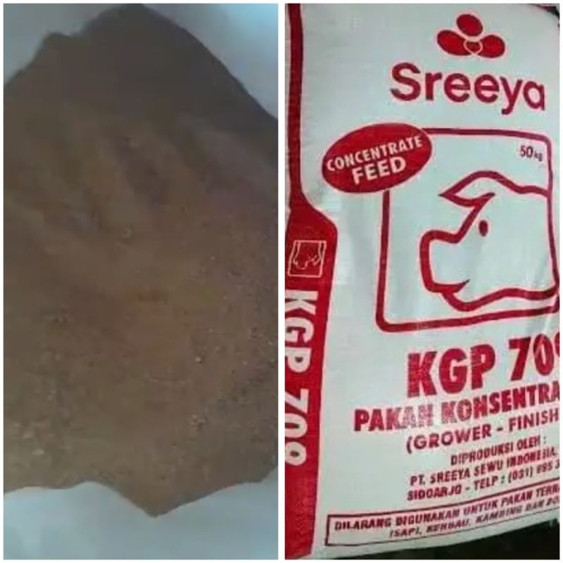 Jual KGP 709 KONSENTRAT BABI PAKAN TERNAK 5KG | Shopee Indonesia