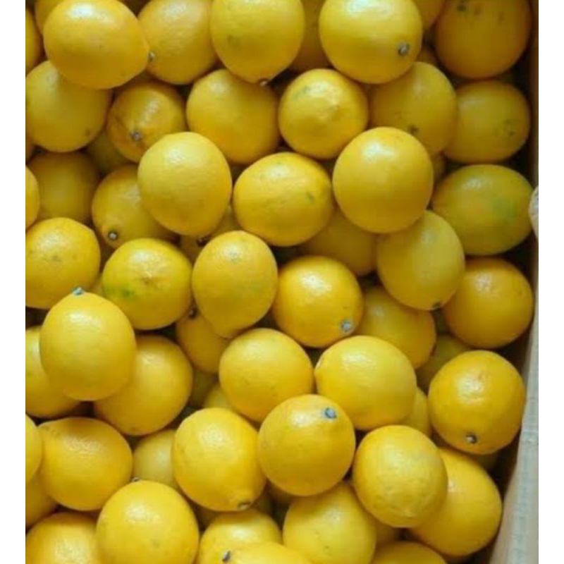 Jual Jual buah jeruk lemon california segar 1kg | Shopee Indonesia