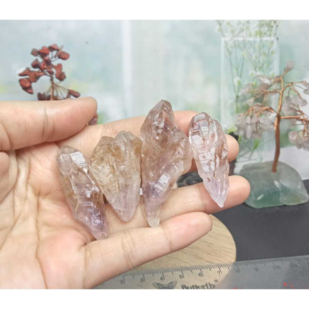 Jual Natural Pointer Amethyst Lylac Hair Tooth (10) | Shopee Indonesia