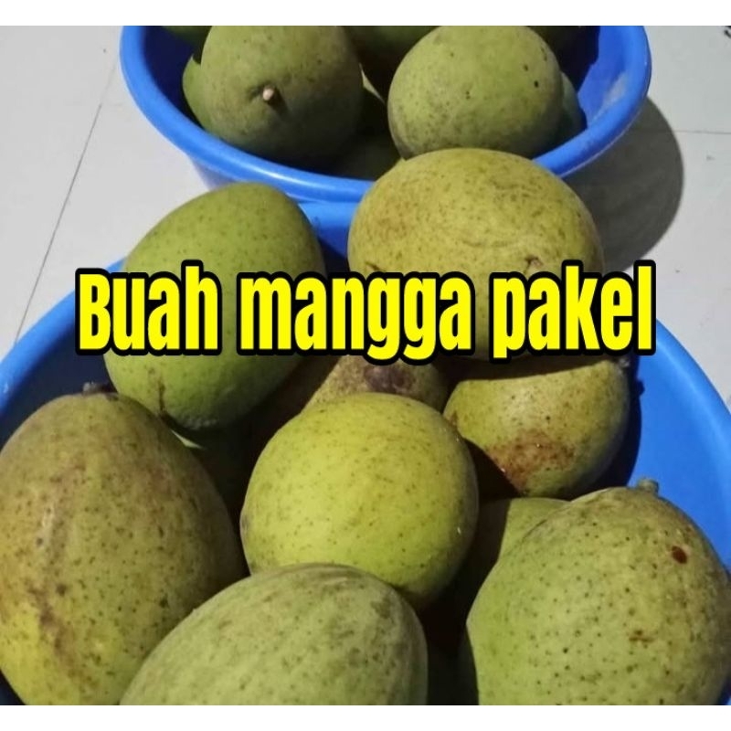 Jual Buah Pakel 1 kg isi 2-4 biji | Shopee Indonesia
