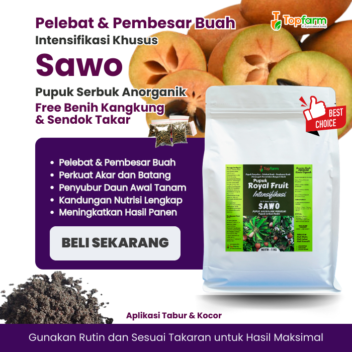 Jual Pupuk Buah Sawo Lebat / Pupuk Tanaman Sawo Agar Cepat Berbuah / Pupuk Booster Buah Sawo ...