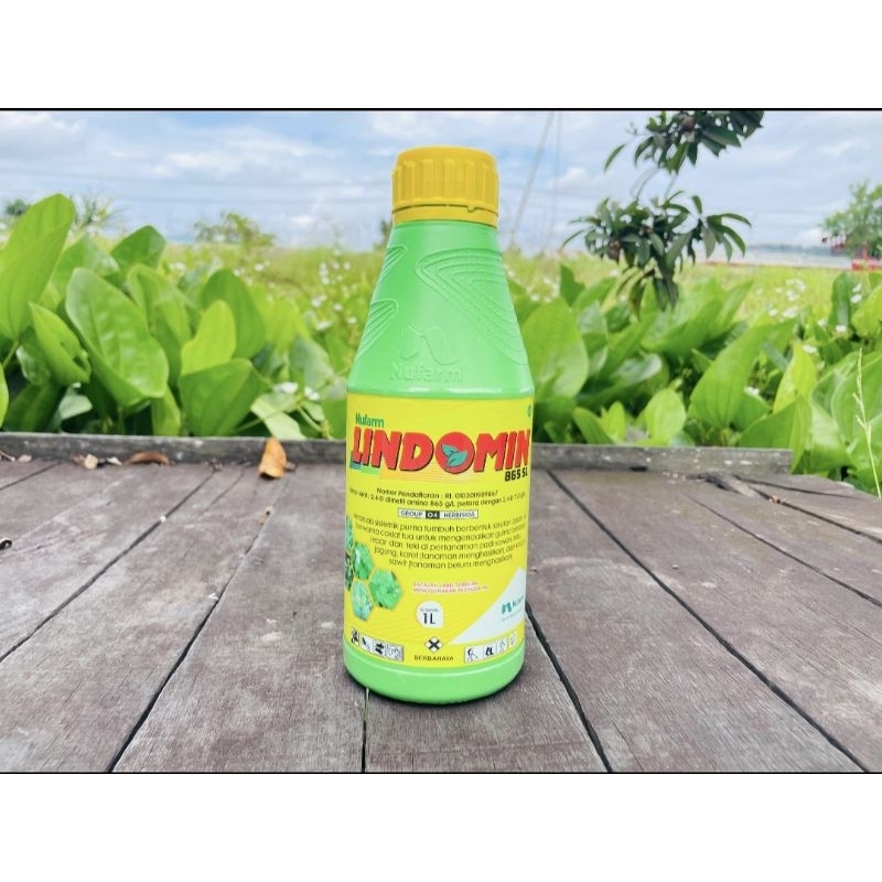 Jual herbisida Lindomin 865sl 1 liter obat kuning selektif obat ...