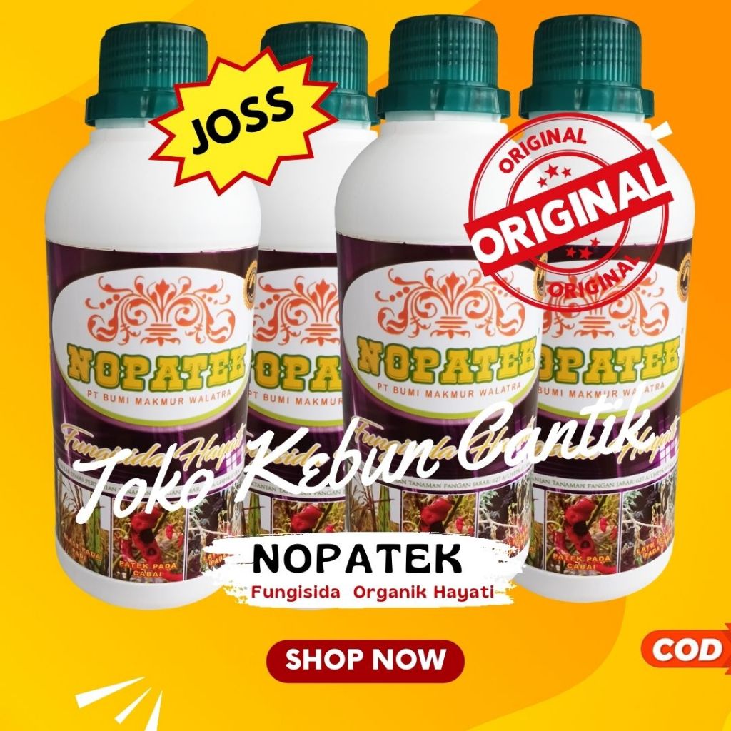 Jual NOPATEK Obat Virus Kuning Cabai Ampuh | Fungisida Hayati untuk ...
