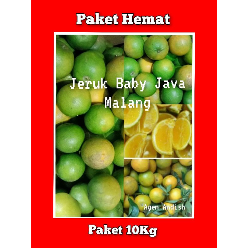 Jual Ready Stock-JERUK BABY JAVA MANIS HIJAU/Kekuningan Fresh 10 Kg ...