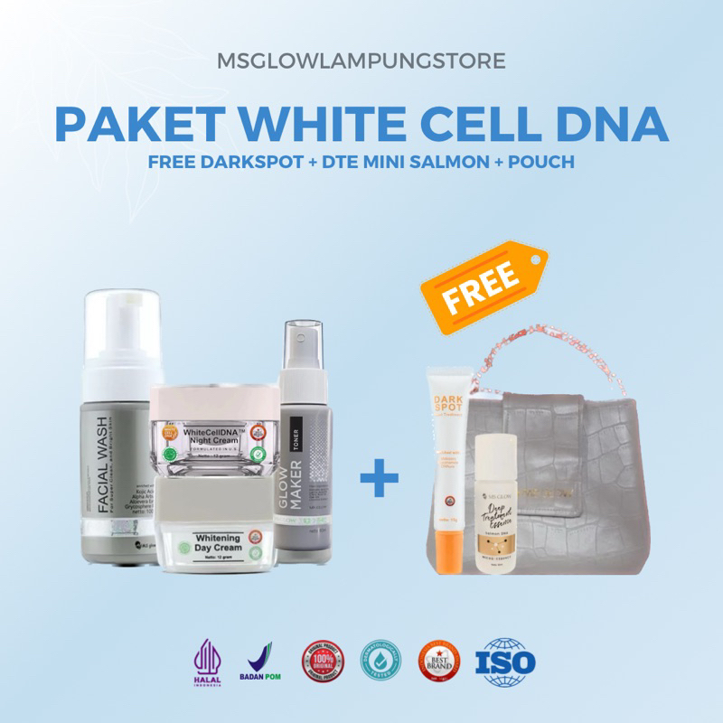Jual MS GLOW | PAKET WAJAH DNA | FREE DARKSPOT + DTE SALMON MINI + NEW POUCH | UNTUK MENCERAHKAN ...