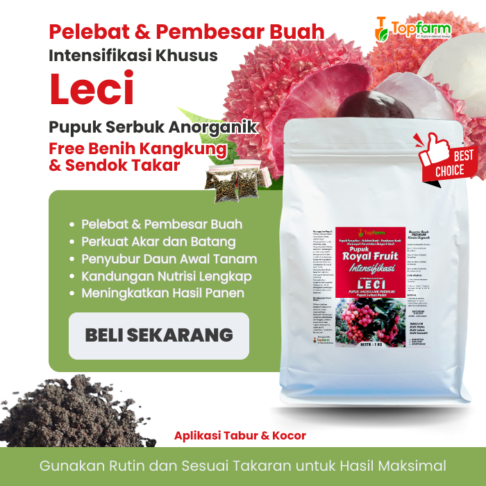 Jual Pupuk Leci Cepat Berbuah / Pupuk Booster Leci Terbaik / Pupuk Booster Pelebat Buah Leci ...
