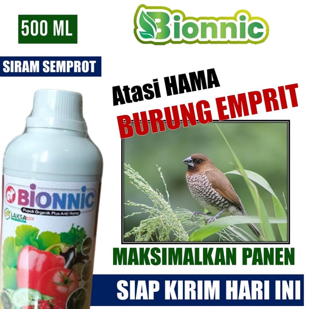 Jual BIONNIC Racun Pembasmi Hama Burung Pipit/Piyik/Emprit Sawah ...