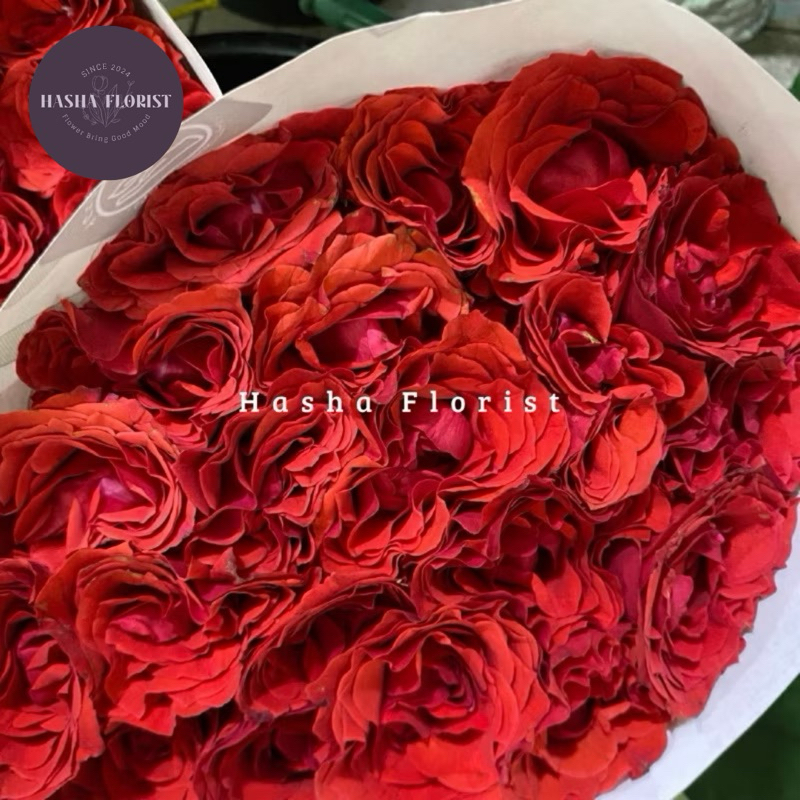 Jual Bunga Mawar Malang Merah Bata Fresh 20 TANGKAI ( Bunga Potong Segar Jakarta ) - By Hasha ...