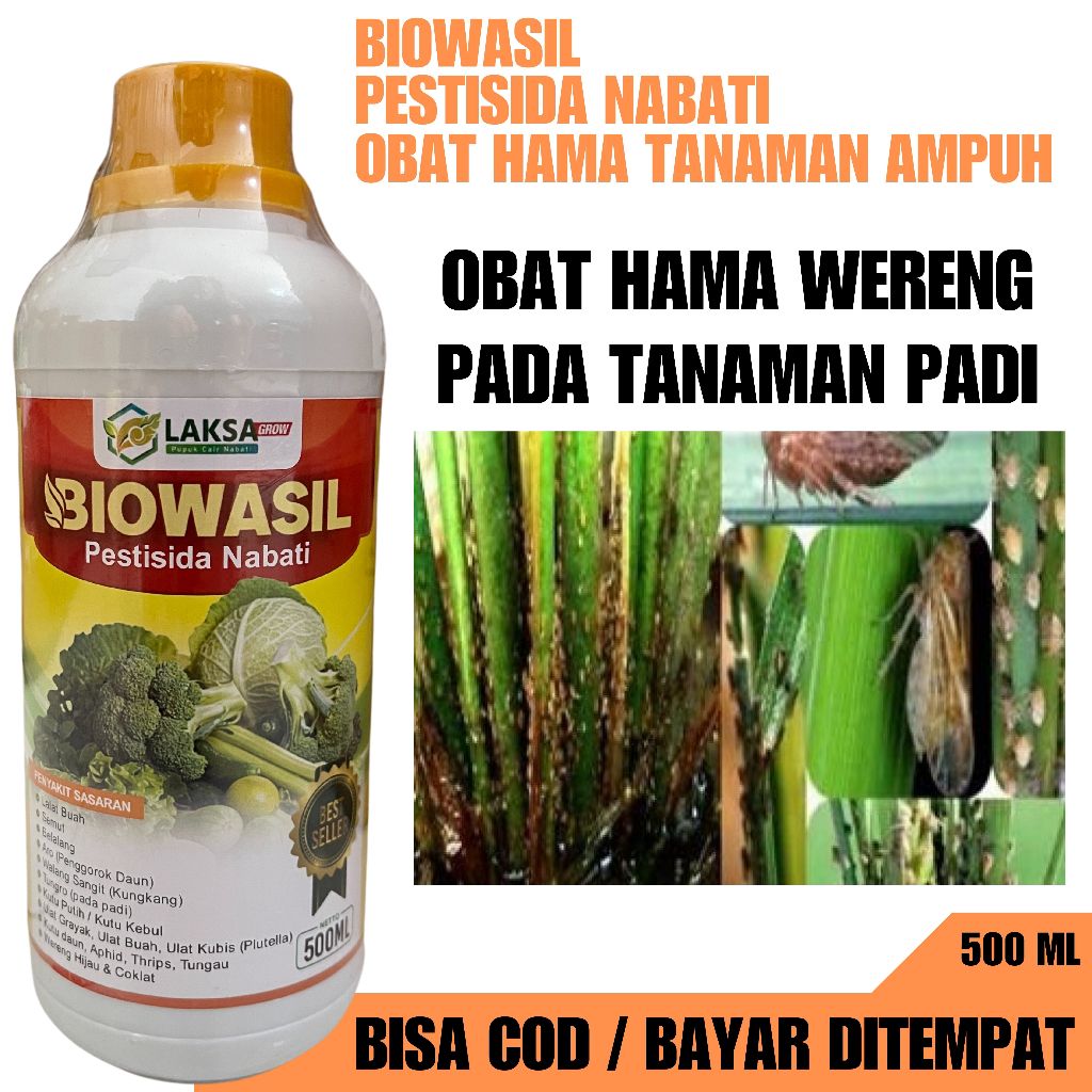 Jual BIOWASIL 500ml Pestisida Organik Obat Hama Wereng Pada Tanaman ...