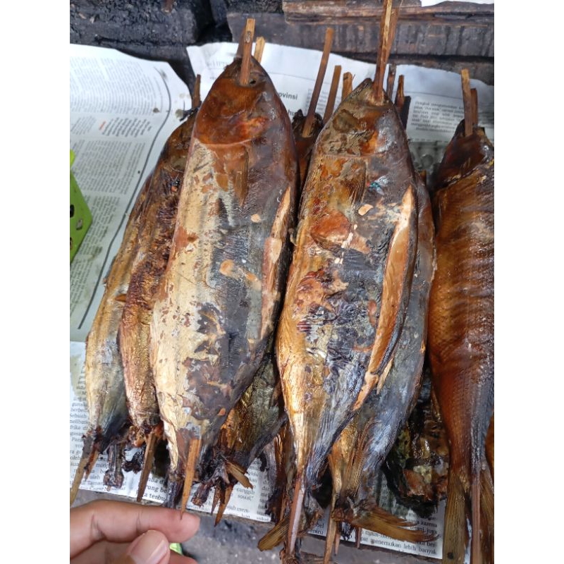 Jual Ikan Tuna Asap Fresh | Ikan Tuna Asap Frozen perekor | GOJEK READY ...