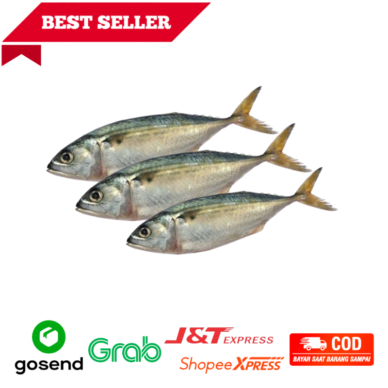 Jual Ikan Kembung Fresh Freshmart Go | Shopee Indonesia