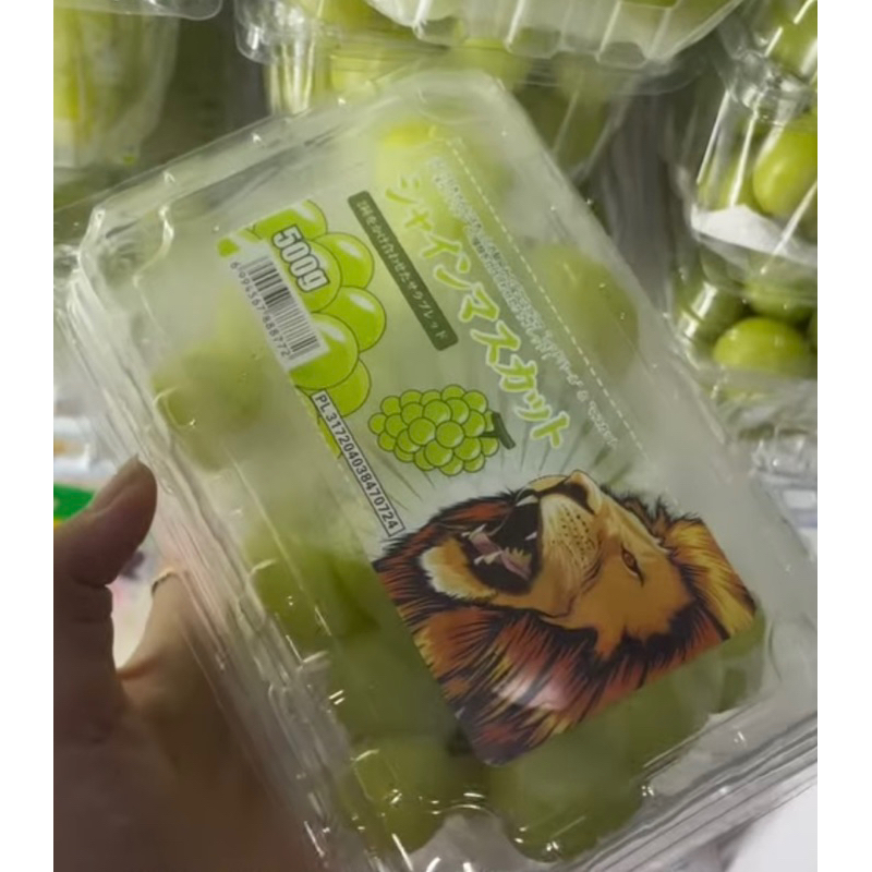 Jual Anggur Muscat 500gr (Promo!) | Shopee Indonesia