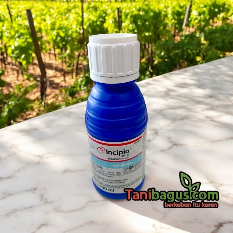 Jual insektisida incipio 200 SC - kemasan 100 ml | Shopee Indonesia