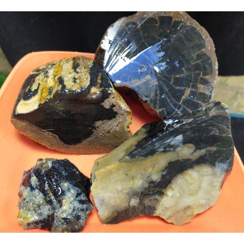 Jual 1 Kg - 4 Pcs - Batu POSIL KAYU (POKAY) Motif - All Varian ...