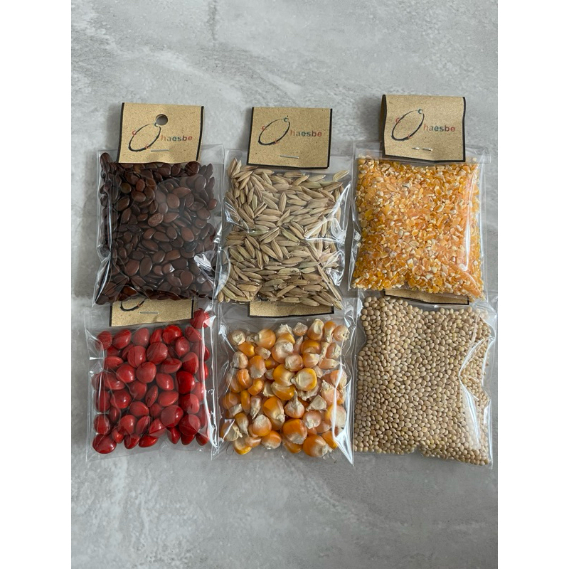 Jual Biji Saga Merah - Beras Gabah - Beras Jagung - Jagung - Millet ...