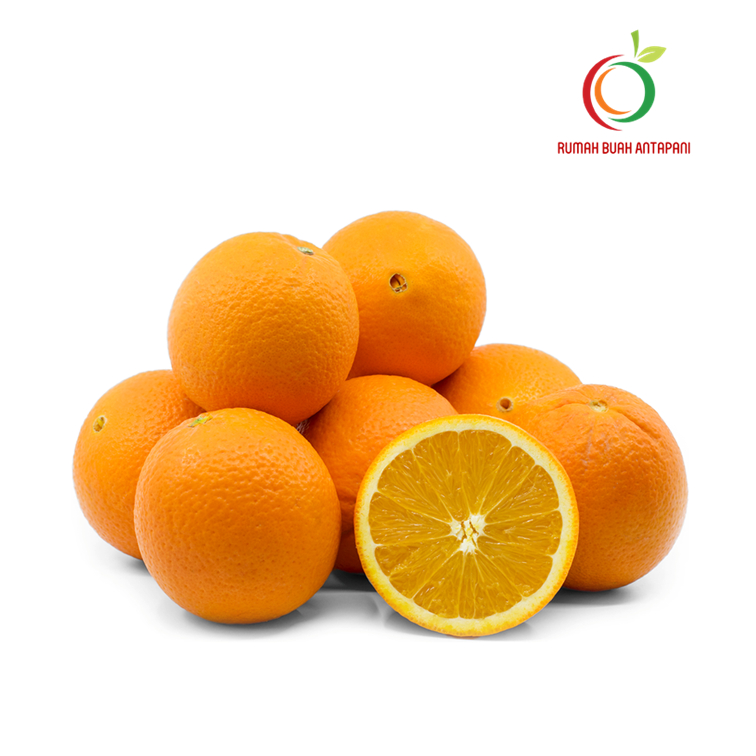 Jual Jeruk Sunkist Navel Segar 1kg | Shopee Indonesia