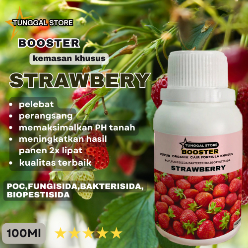 Jual Pupuk Organik Cair Buah Strawbery, Booster Pelebat dan Perangsang Strawbery Original ...