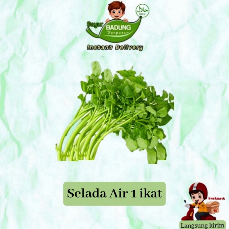 Jual Sayur Selada Air 1 ikat _ Badung | Shopee Indonesia
