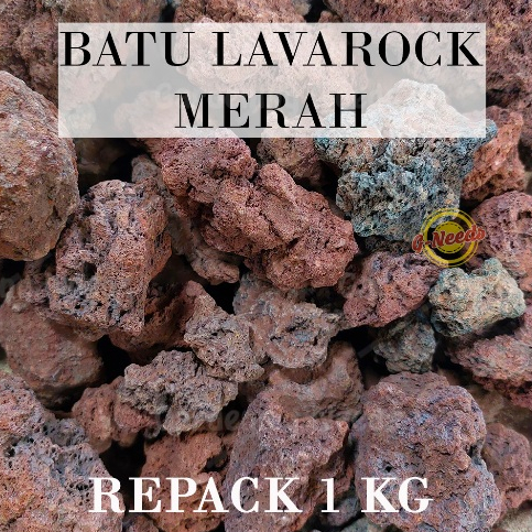 Jual Batu Lava Rock/Batu Hias/Batu Taman/aquascape REPACK 1 kg | Shopee ...