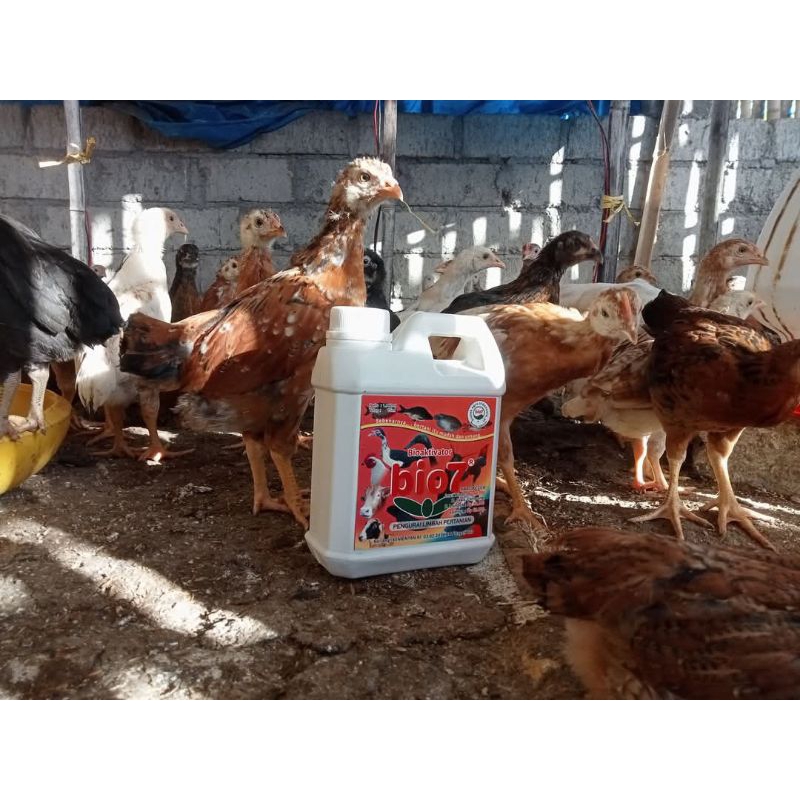 Jual BIOAKTIVATOR Bio7 TERNAK | Shopee Indonesia