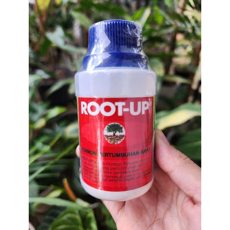 Jual ROOT-UP (Hormon Pertumbuhan Akar) 100 GRAM | Shopee Indonesia