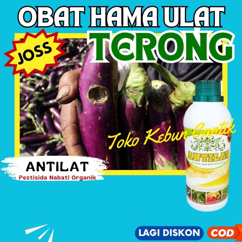 Jual ANTILAT 500ML – Obat Hama Ulat Organik untuk Tanaman Cabe, Tomat ...