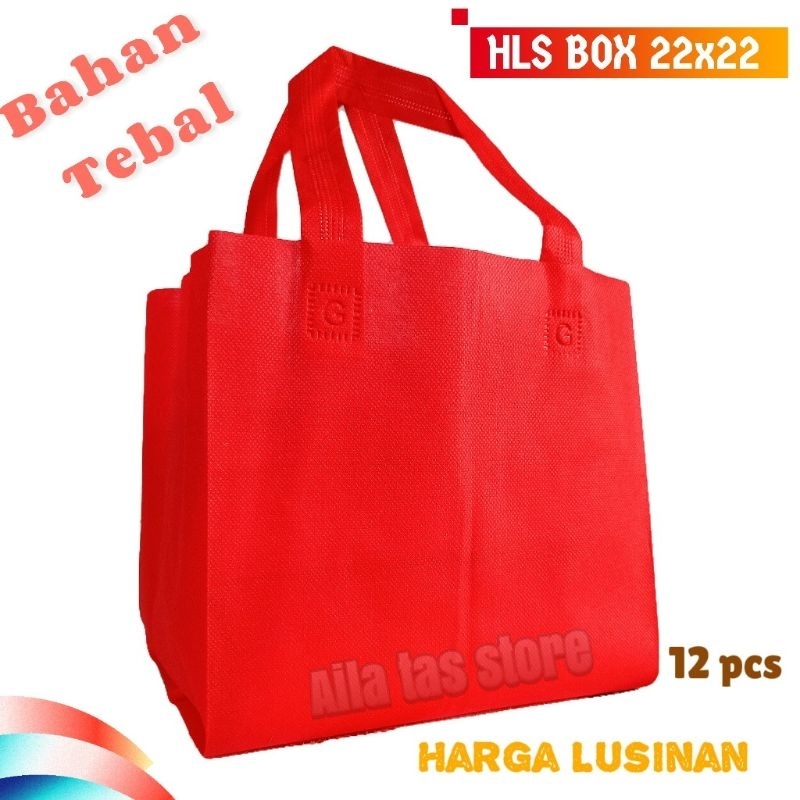 Jual Tas Box dus 22x22 Tas spunbond (12 PCS) | Shopee Indonesia