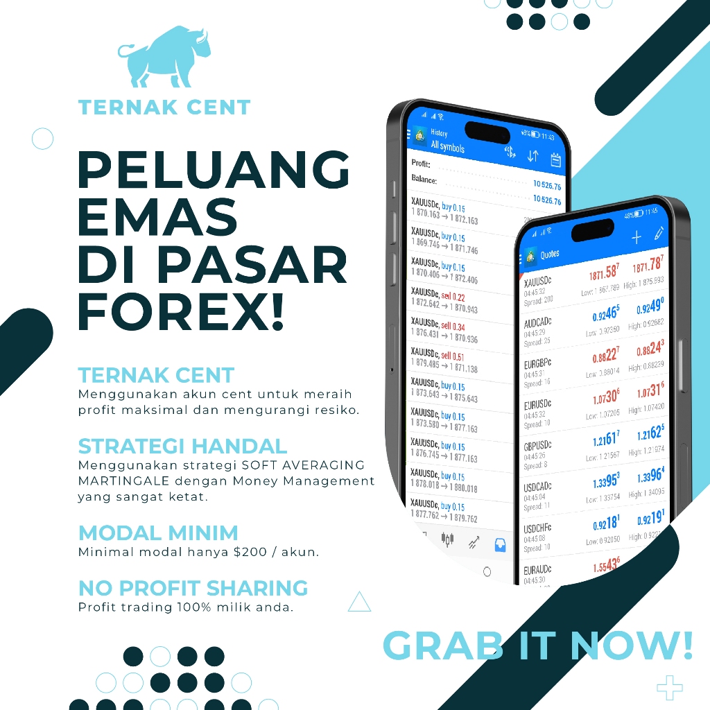Jual SEWA ROBOT FOREX ( EA ) + VPS 1 BULAN UNTUK TERNAK AKUN CENT | Shopee Indonesia