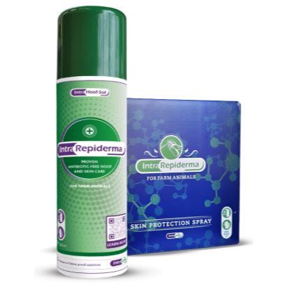 Jual Intra Repiderma Spray 250 ml | Obat Semprot Luka Kulit PMK Sapi ...