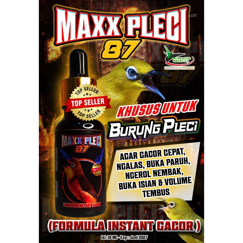 Jual MAXX PLECI'87 | Shopee Indonesia