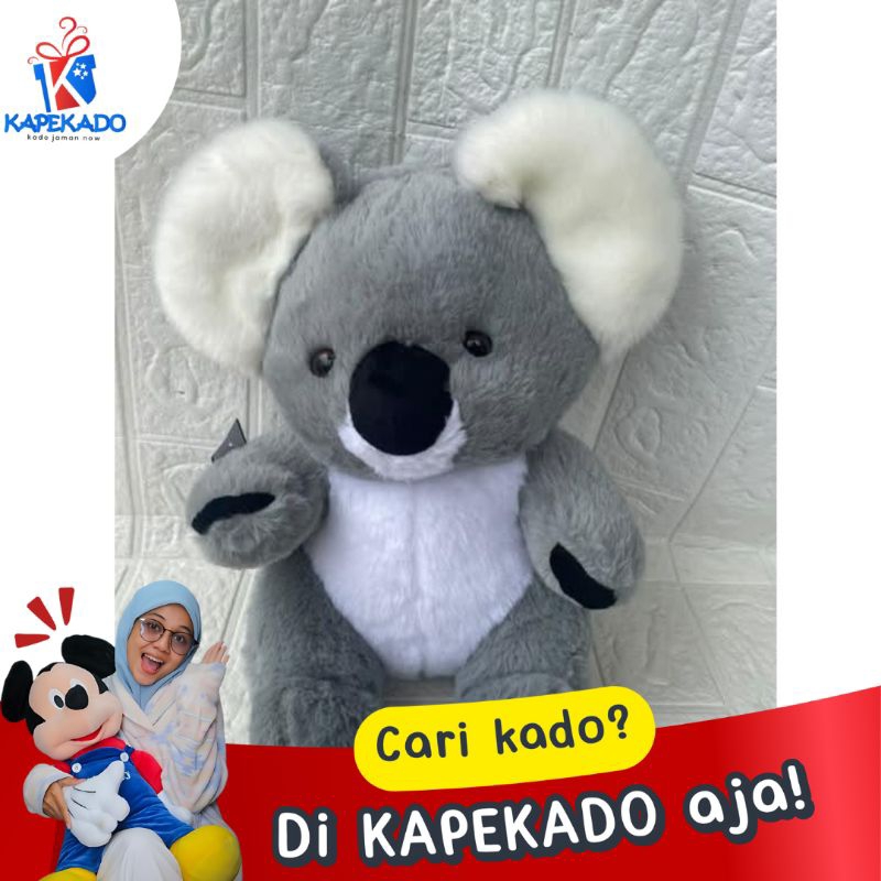 Jual Boneka Karakter Koala Terbaru Ukuran Sedang | Shopee Indonesia