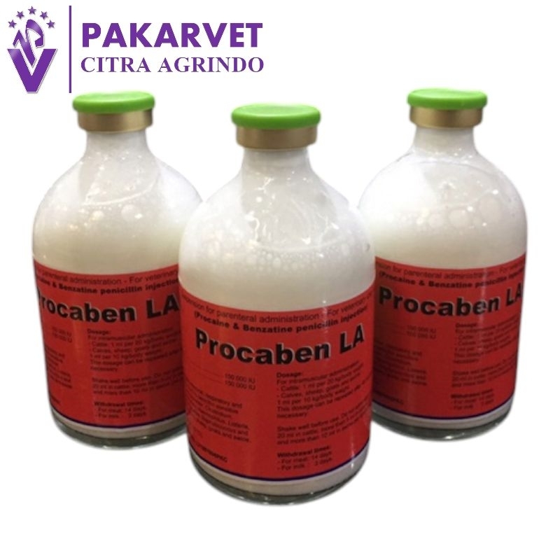 Jual PROCABEN LA 100 ml pengganti PENSTREP 400 sapi, kambing, domba ...
