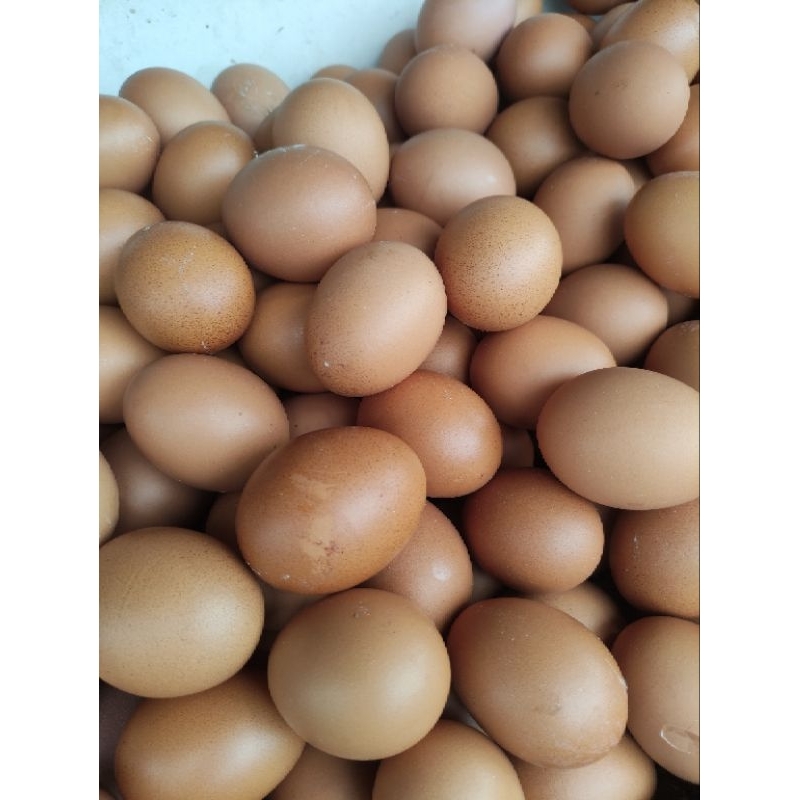 Jual telor ayam 1 kg | Shopee Indonesia