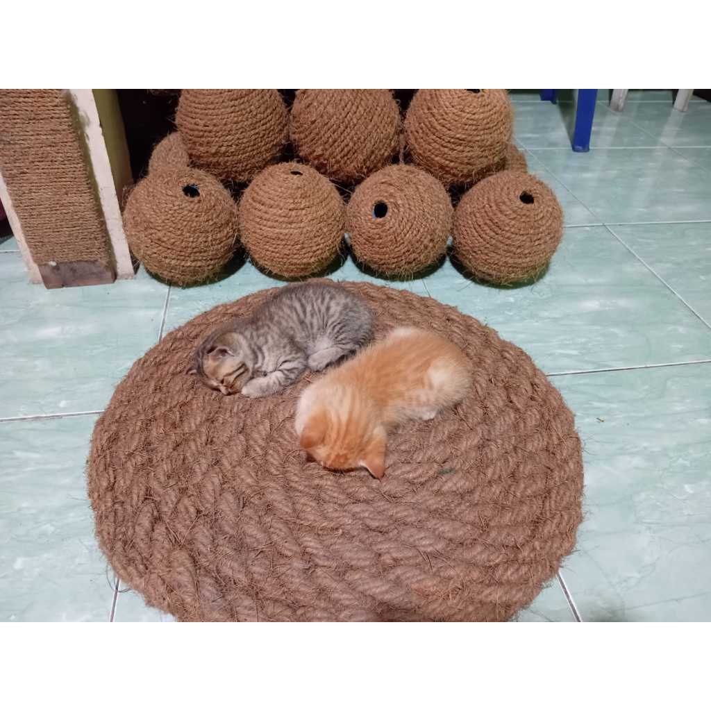 Jual alas tidur kucing bulat diameter 50 cm- media cakaran kucing ...