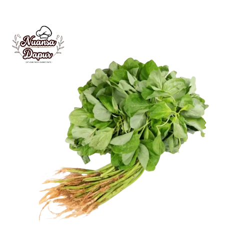 Jual Sayur Bayam Segar Per 1 ikat | Shopee Indonesia