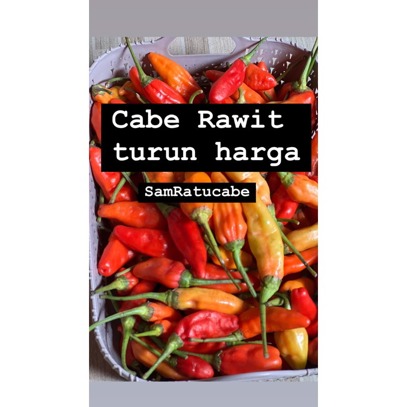 Jual CABE RAWIT ORI 1kg (wajib baca deskripsi yaa) (mebeli berarti ...