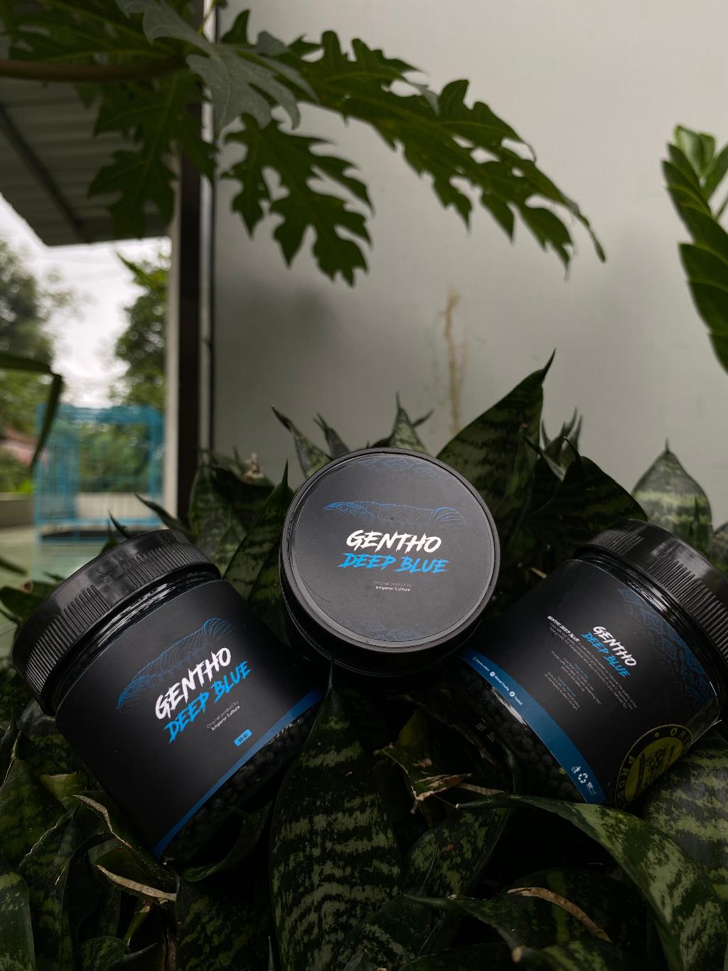 Jual GENTHO DEEP BLUE (untuk meningkatkan warna biru pada channa)for ...