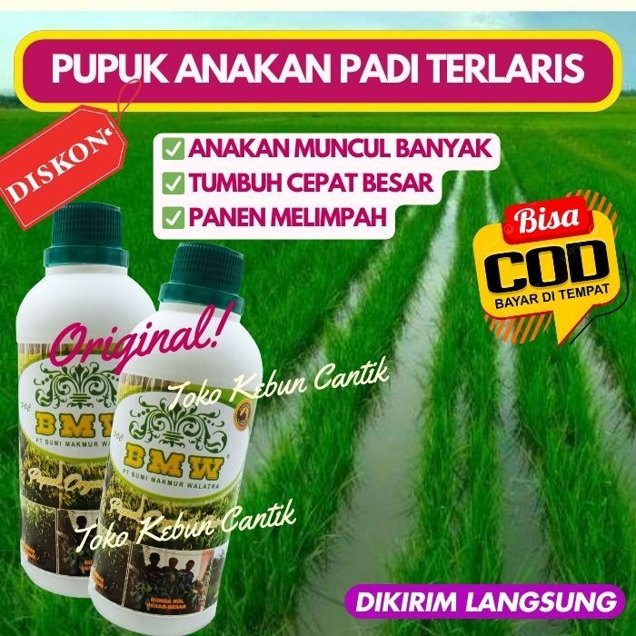 Jual Obat Perbanyak Anakan Padi BMW 500ML - POC Cair NPK Menambah Bobot ...