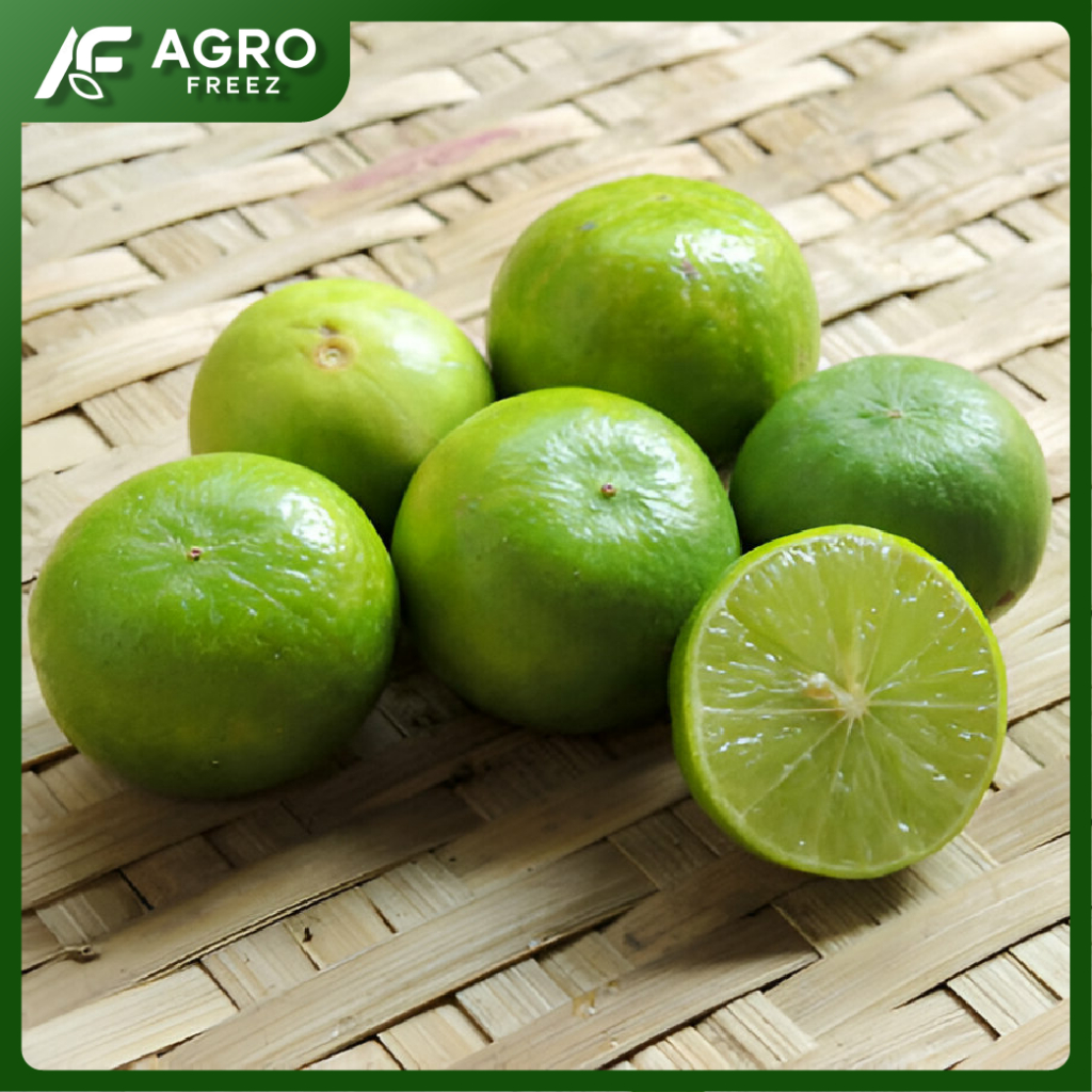 Jual Jeruk Nipis 1kg | Jeruk Nipis Segar | Shopee Indonesia