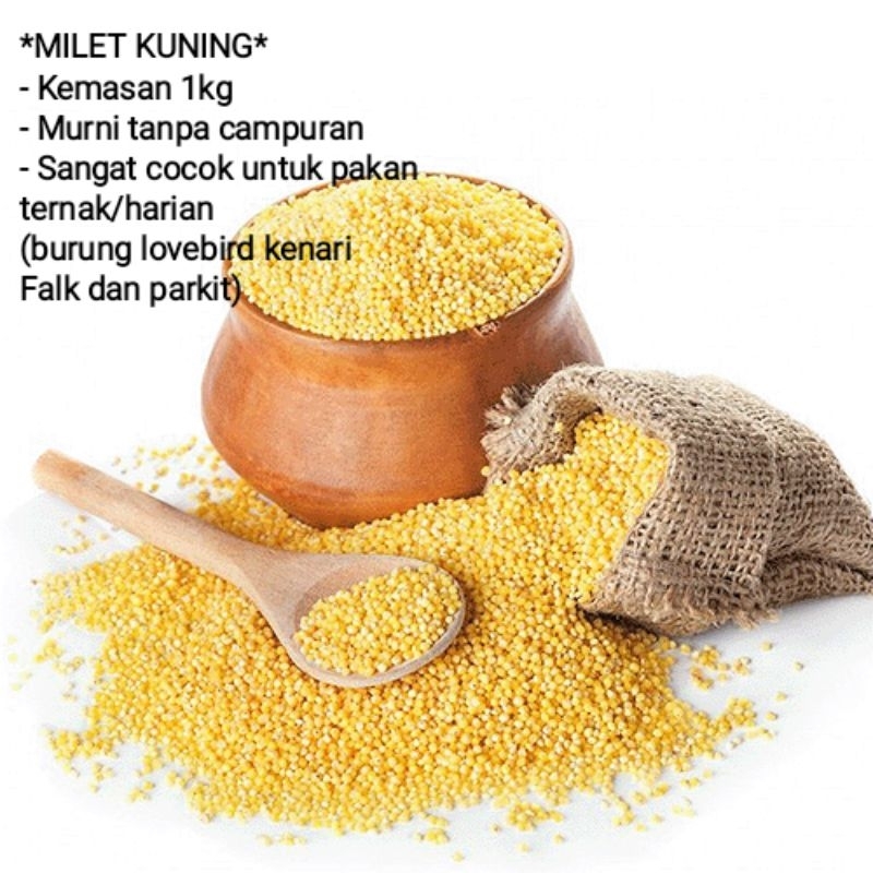 Jual Milet kuning 1kg bersih tanpa campuran pakan burung lovebird falk ...