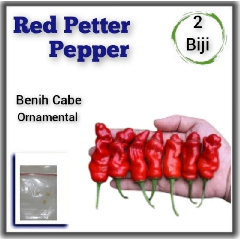Jual 2 Benih Cabe Hias Red Peter Pepper Bibit Tanaman Cabai Unik ...