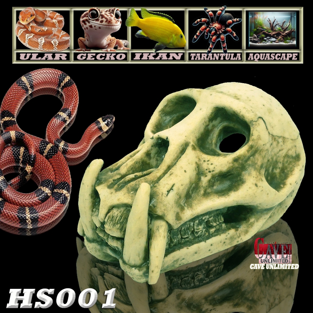 Jual HS001 TENGKORAK BABON FOSIL MONYET MONKEY HIDING SKULL HIASAN ...