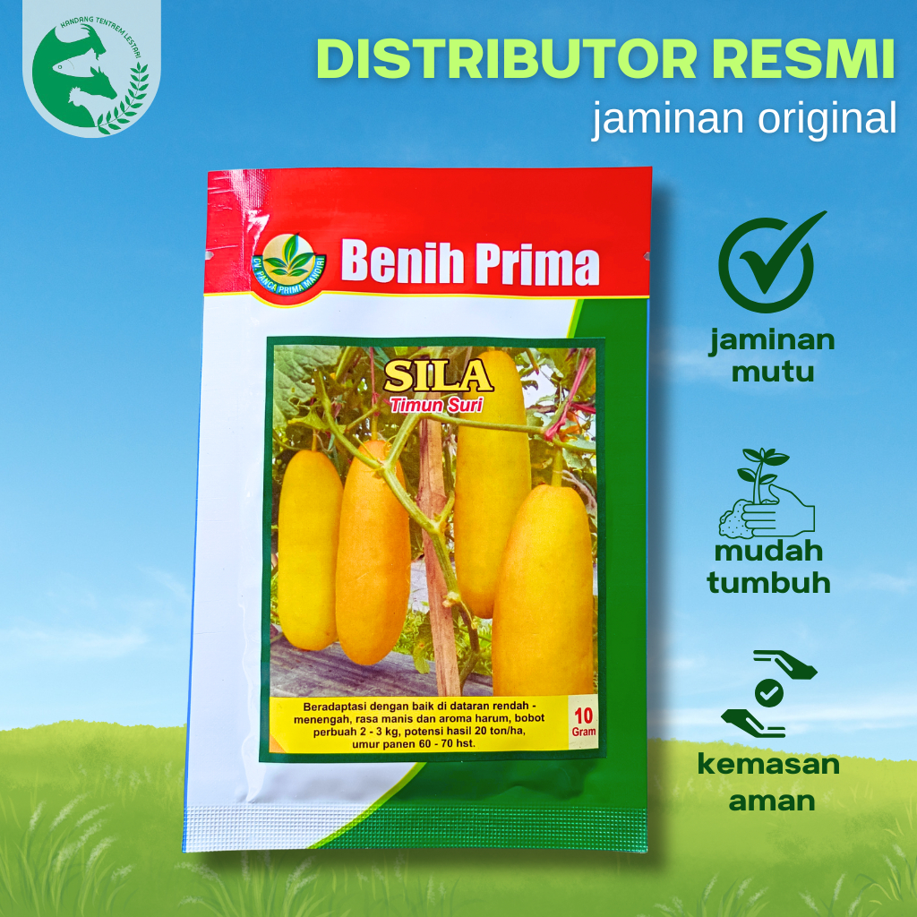 Jual Benih Timun Suri Kuning SILA 10 gram Cap PRIMA Manis Unggul Harum | Shopee Indonesia