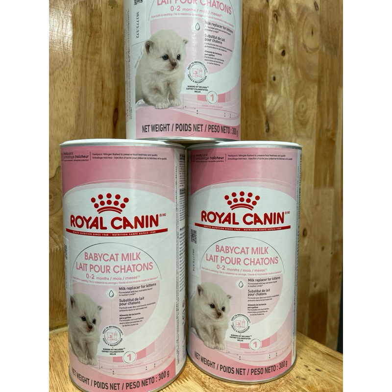 Jual royal canin babycat milk 300g | Shopee Indonesia