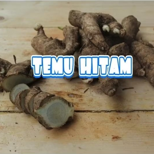 Jual temu ireng segar asli 1kg | Shopee Indonesia